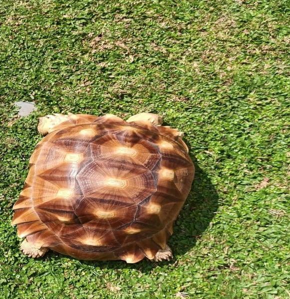 Classified Advertisements | puertoricoandtheworld.com